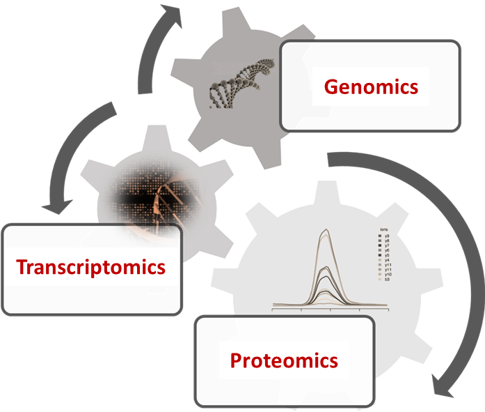 Interfakultäres Institut für Genetik und Funktionelle Genomforschung ...